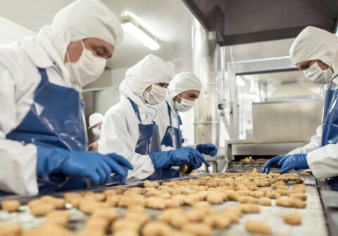 Nut Processing Facility - Agilitech Group